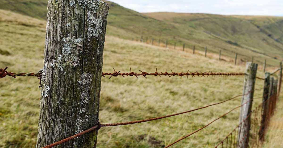 Amazon GuardDuty: What you need to know